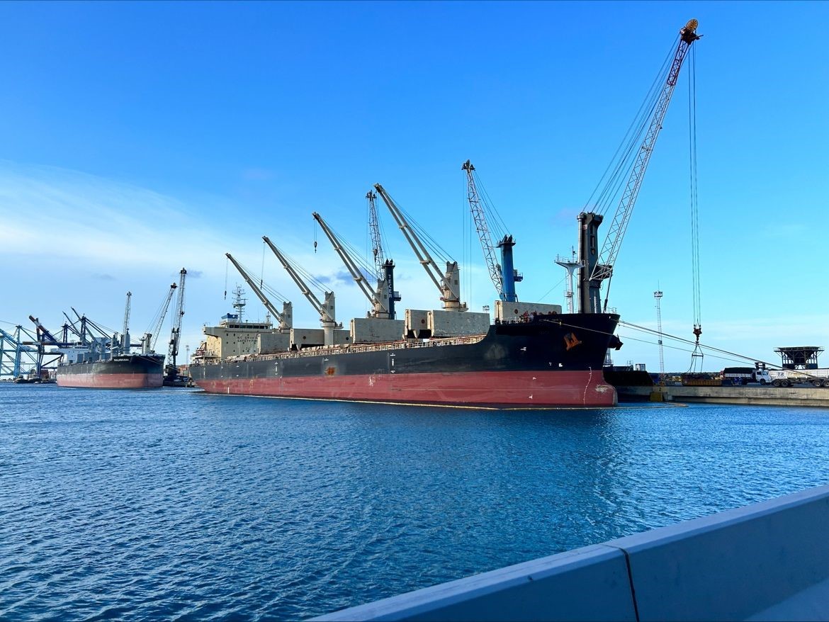 Ship Brokering – DNV Bulk